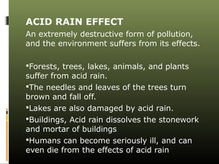 Impact of humans on environment | PPT
