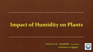 Impact of humidity on plant growth | PPTX