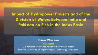 Impact of hydropower projects and of the division of waters between ...