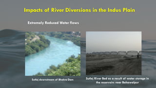 Impact of hydropower projects and of the division of waters between ...