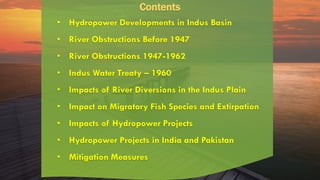 Impact of hydropower projects and of the division of waters between ...