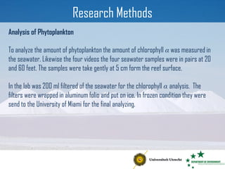 Impact Of Increased Nutrient Input On Coral Reefs On Bonaire And Curacao | PPT