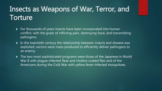 Impact of insects on human culture | PPT