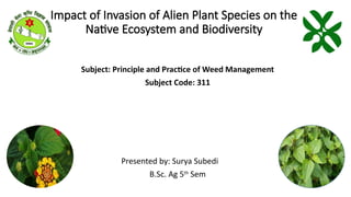 Impact of invasion of alien plant species on ppt.pptx