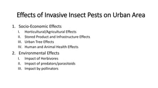 Impact of invasive insects on urban area | PPTX