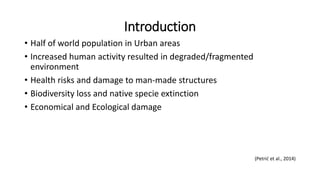Impact of invasive insects on urban area | PPTX