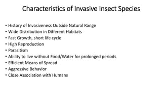 Impact of invasive insects on urban area | PPTX
