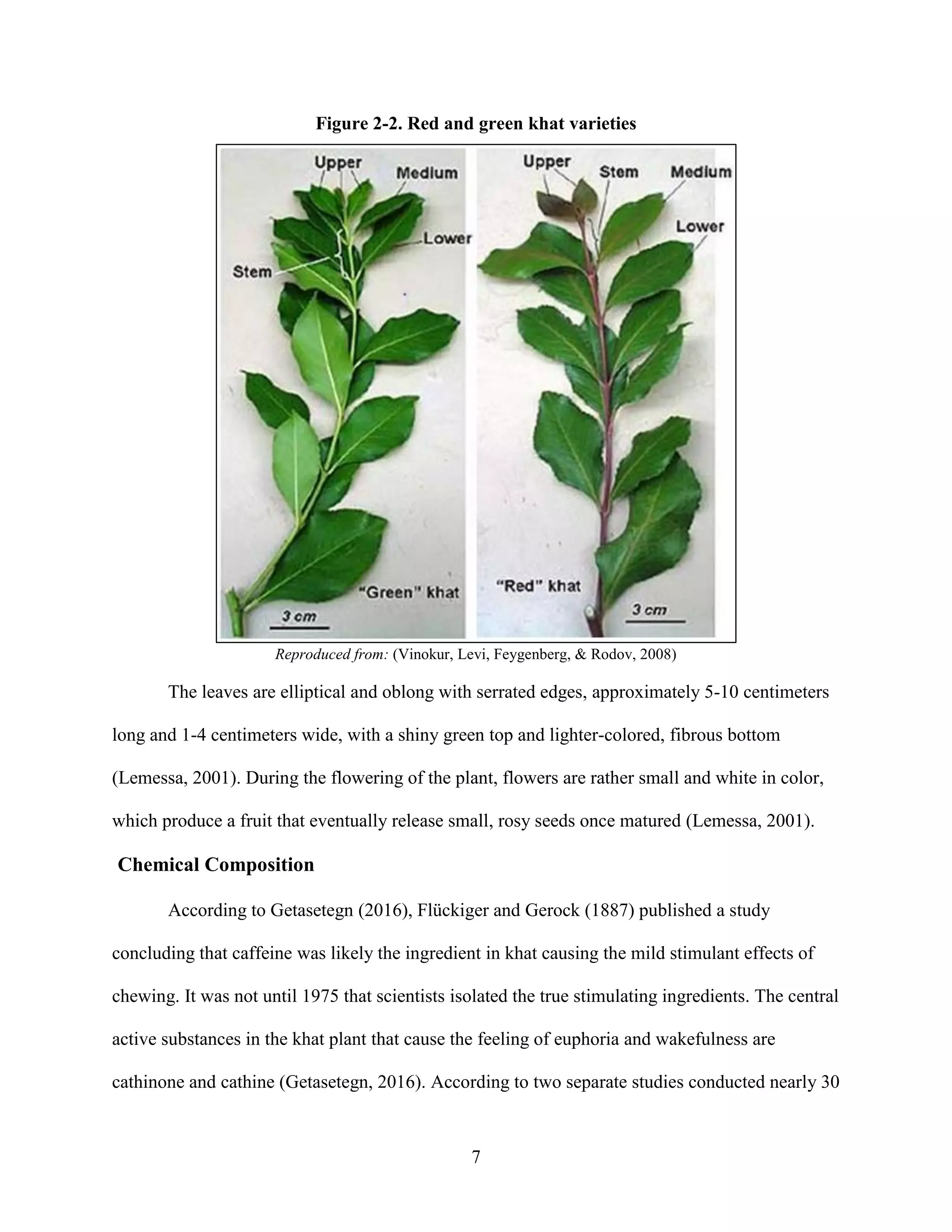 Impact of khat production on household welfare in Amhara region of ...
