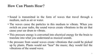 IMPACT OF MUSIC ON PLANT BIOCHEMISTRY.pptx