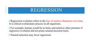 Impact of Natural Selection .pptx
