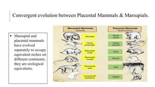Impact of Natural Selection .pptx