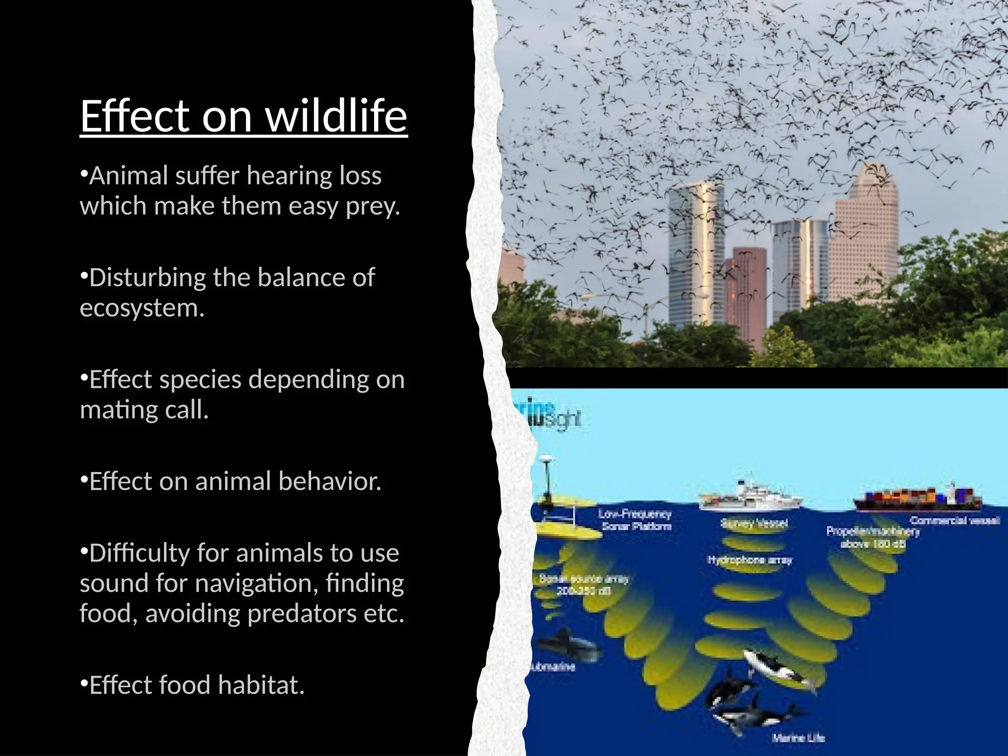 impact of noice pollution-Sound level and density | PPTX