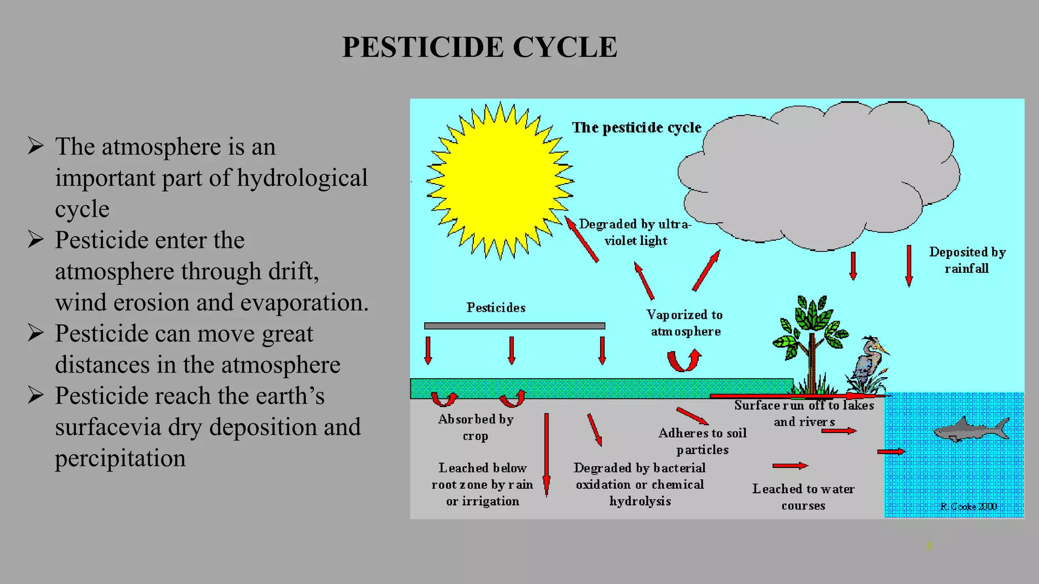 Impact of pesticide on ecosystem and human health.pptx