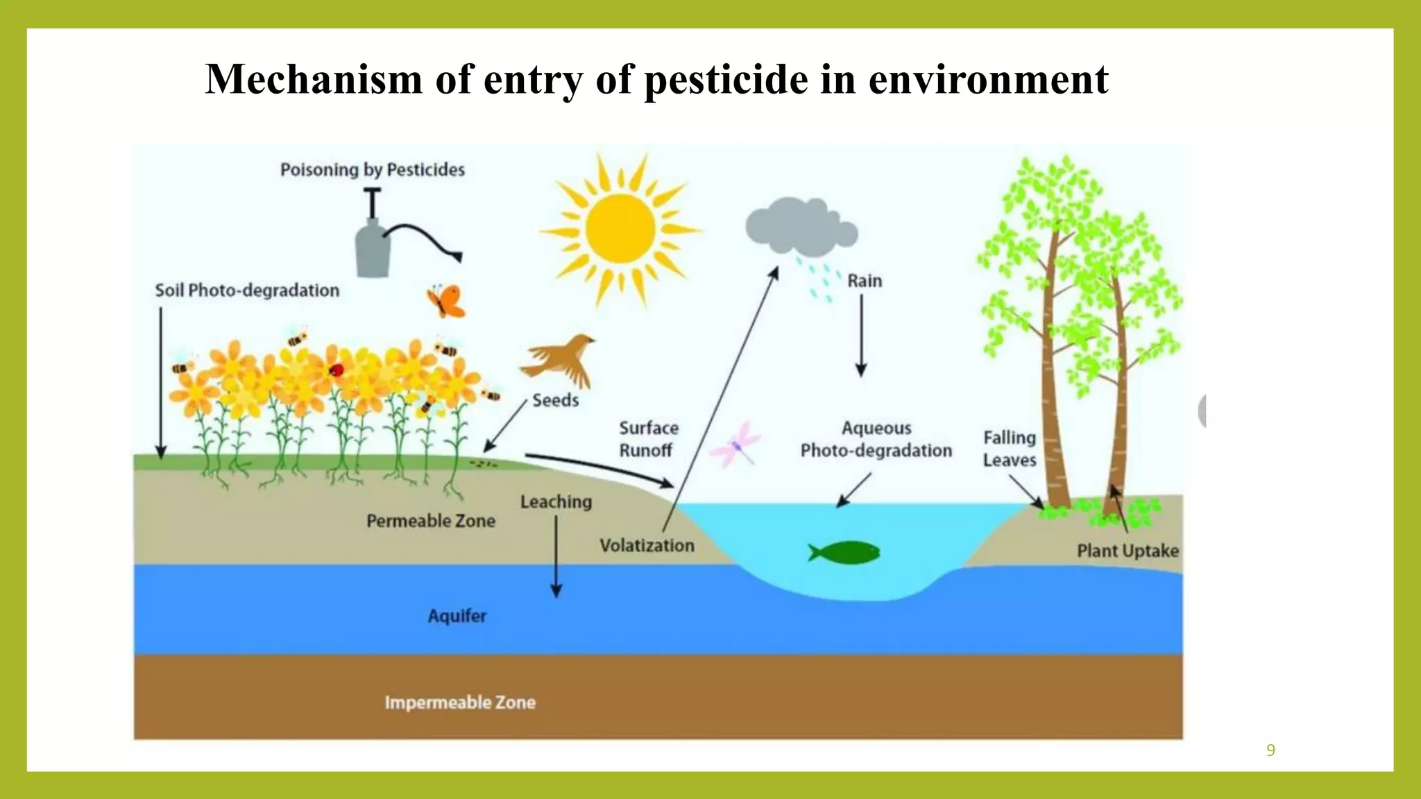 Impact of pesticide on ecosystem and human health.pptx
