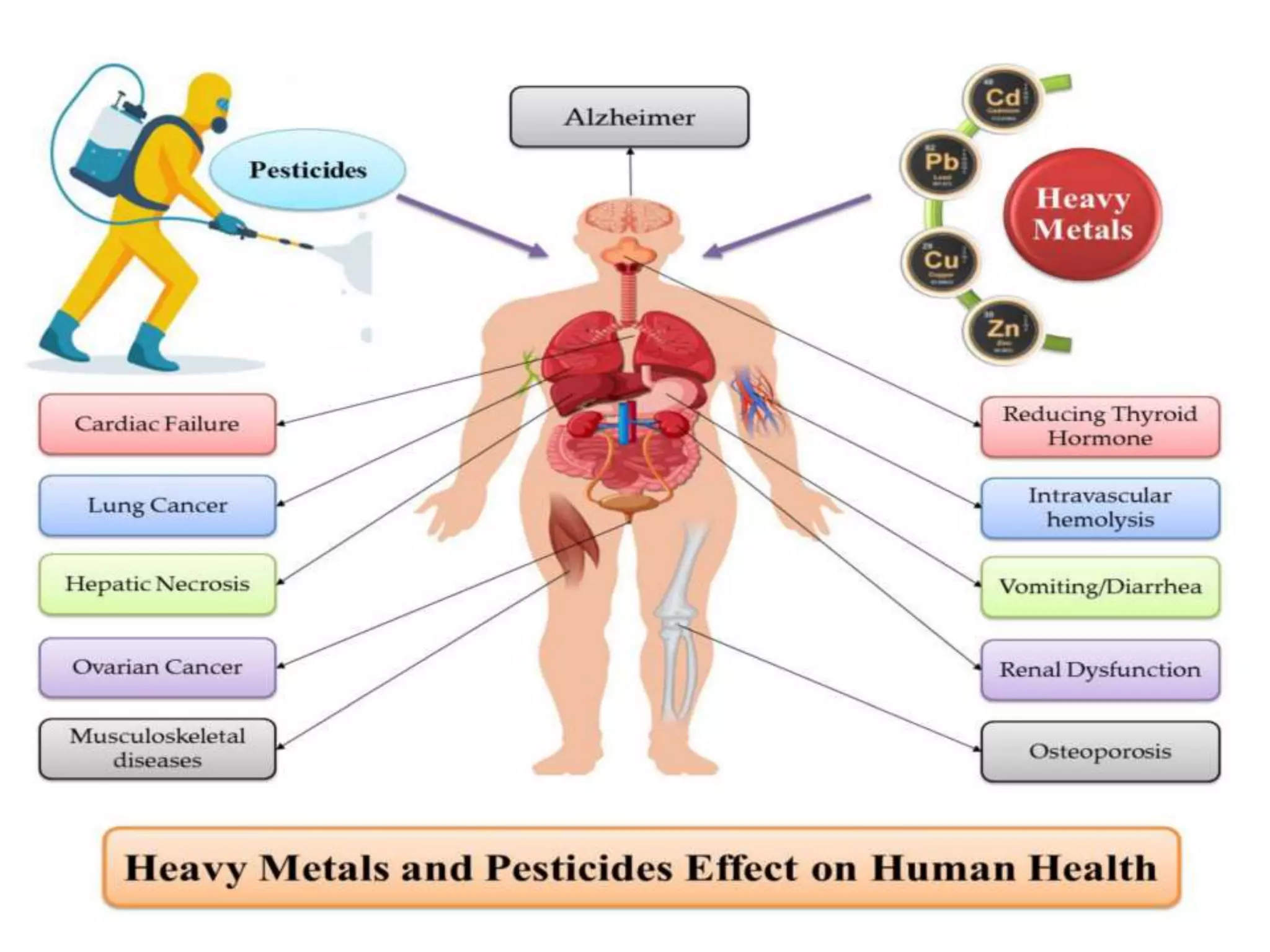 IMPACT OF PESTICIDE RESIDUE IN AGRICULTURE | PPTX