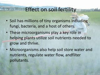 Pesticides In Soil