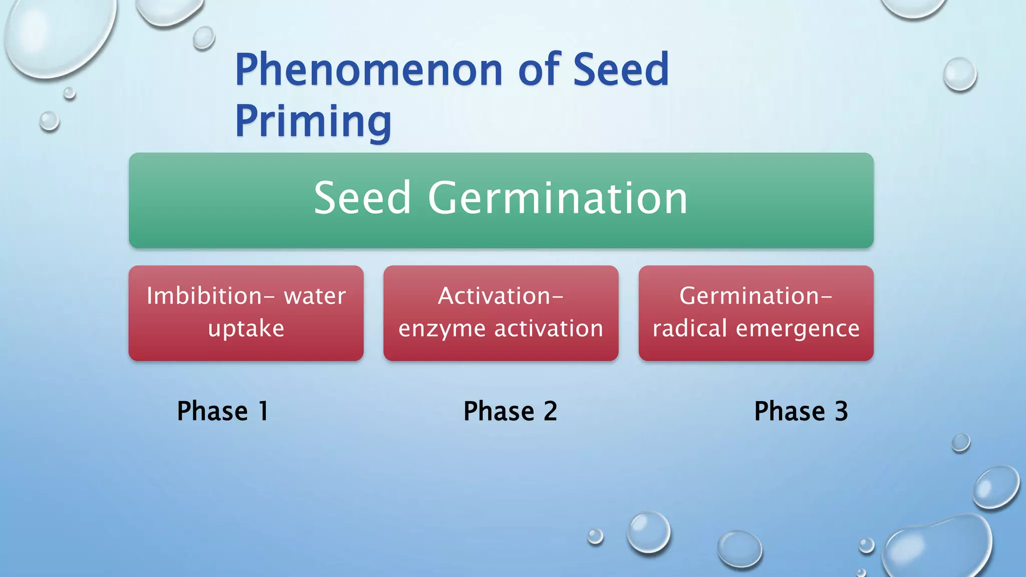 Impact of Priming on Seed Germination.pptx