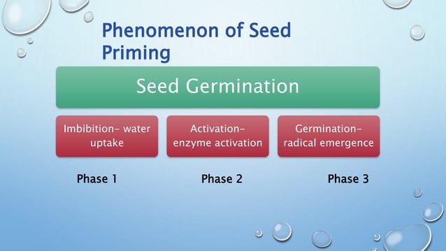 Impact of Priming on Seed Germination.pptx