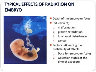 Effects Of Radioactive Pollution On Human Health