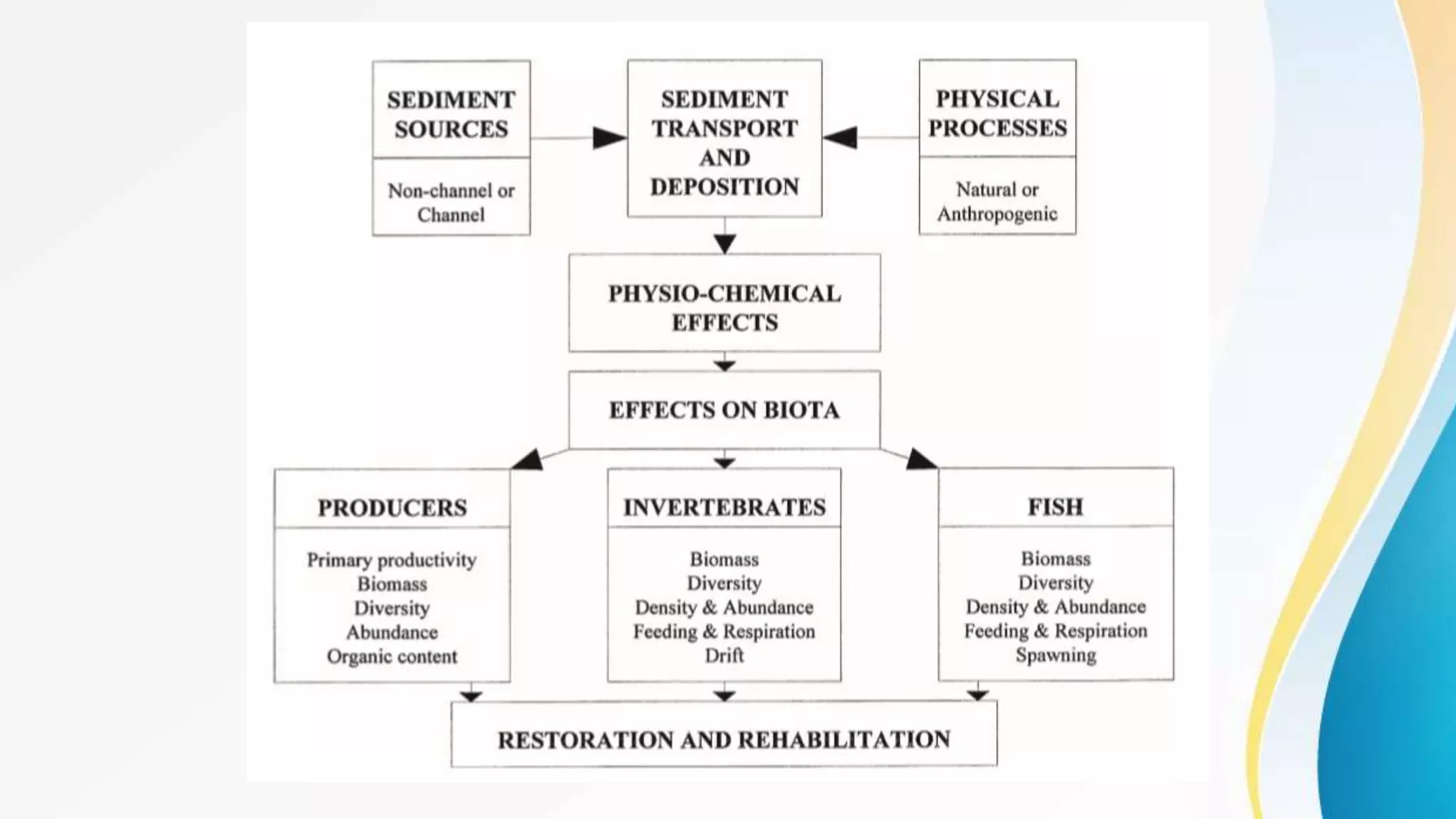 IMPACT OF SILTATION AND RECLAMATION ON AQUATIC HABITAT.pptx