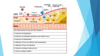 Impact of sodium glucose cotransporter 2 (SGLT2) inhibitors on ...