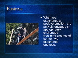 Impact Of Stress | PPT
