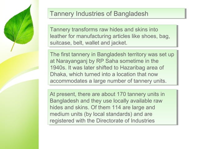 Impact of tannery industry on environment | PPT | Skin and Dermatology ...