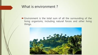 Impact of technology on environment | PPTX