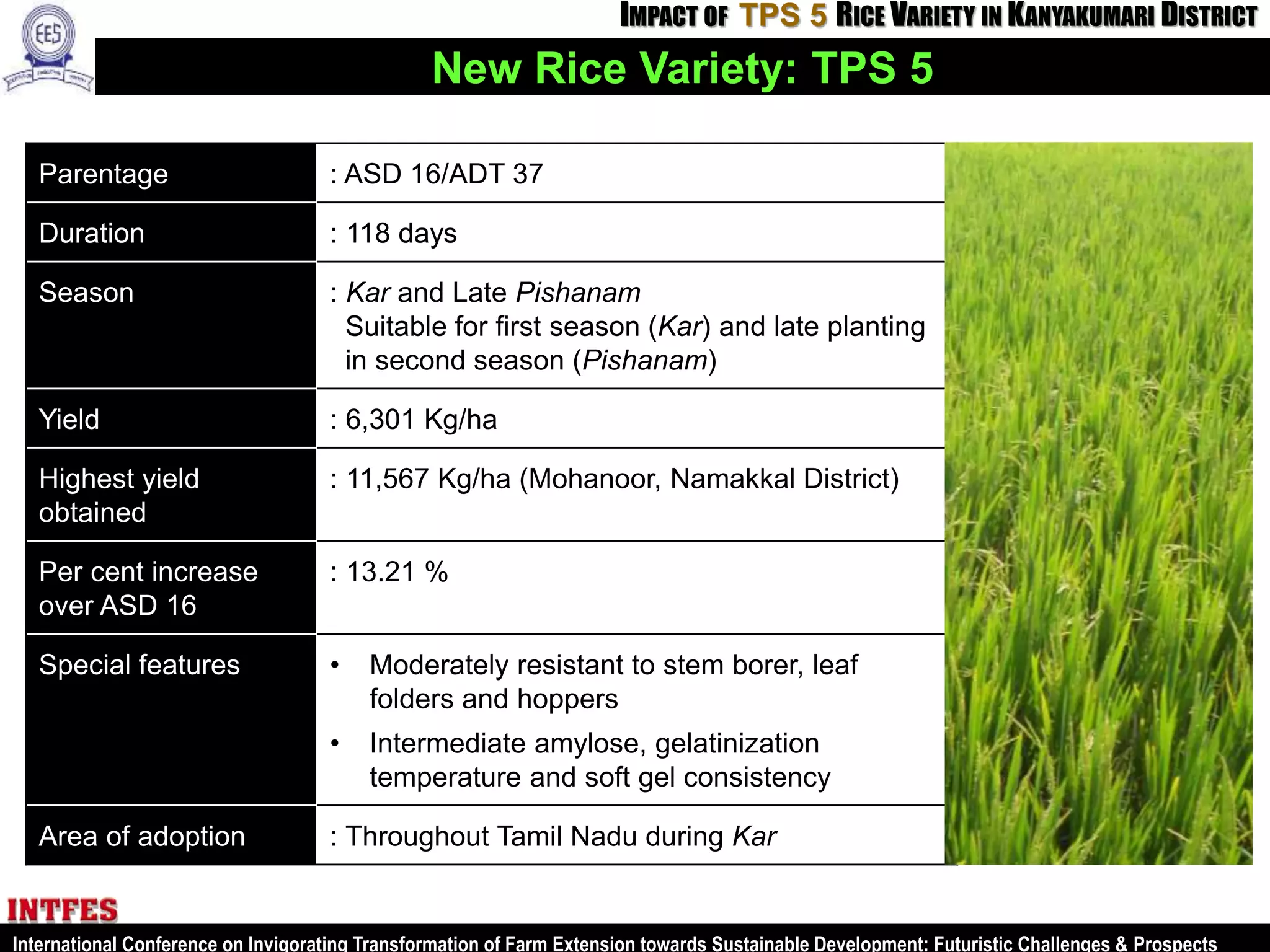 Impact of TPS 5 Rice Variety in Kanyakumari District, Tamilnadu, INDIA ...