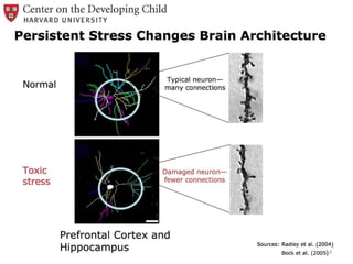 Impact of trauma | PPTX