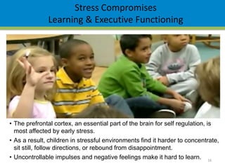 Impact of trauma | PPTX