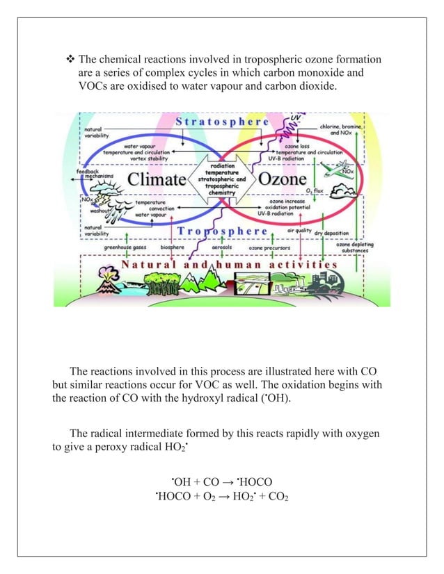 Impact of tropospheric ozone in plants | PDF