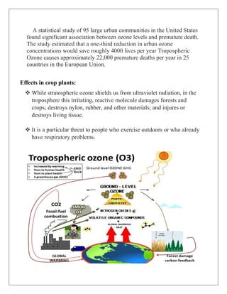 Impact of tropospheric ozone in plants | PDF