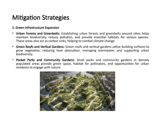 Impact of Urbanization on Ecology pptx | PPTX