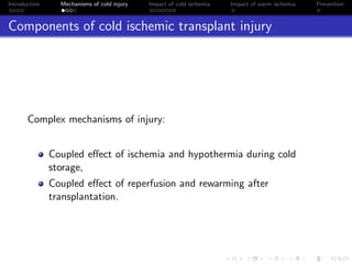 Impact Of Warm And Cold Ischemia Time On Kidney Transplantation | PDF