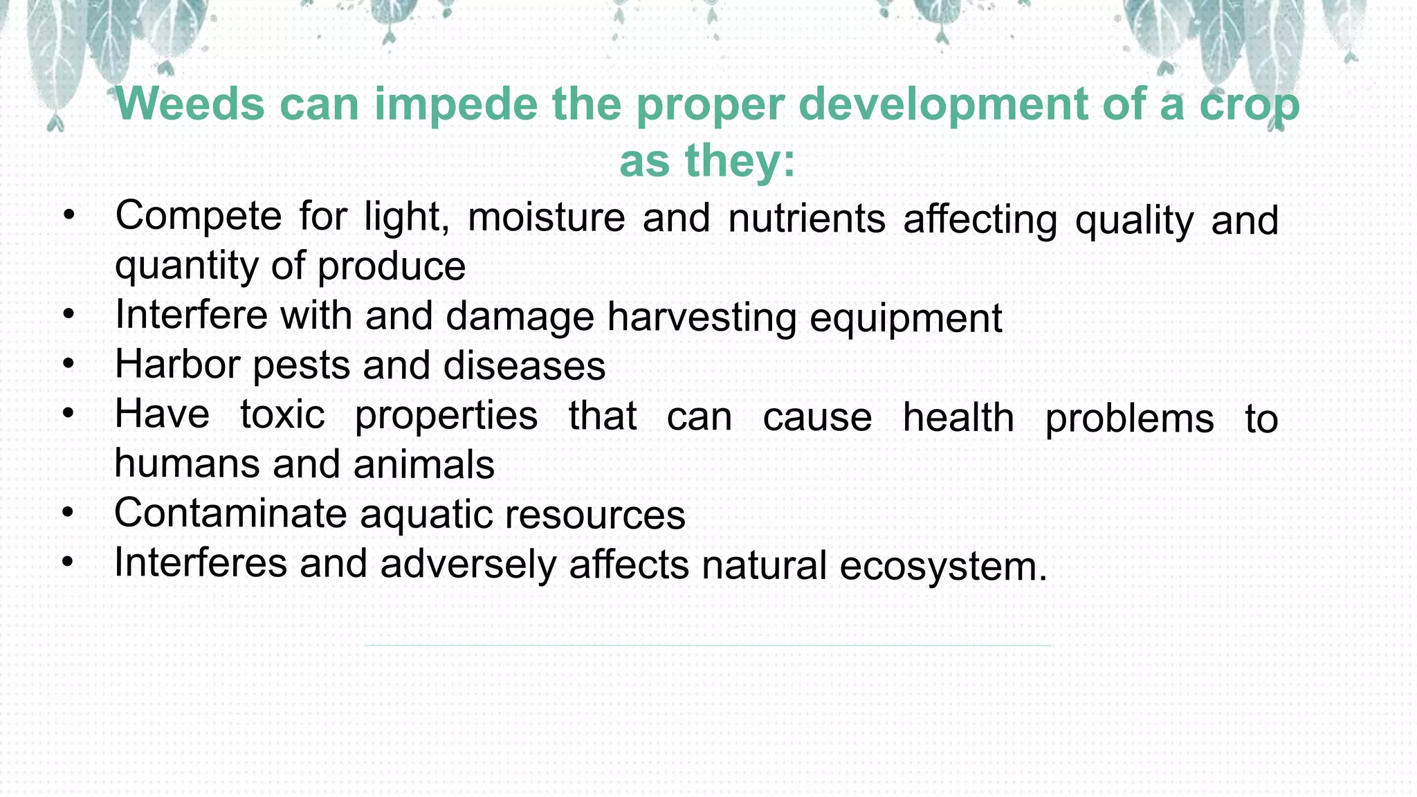 IMPACT OF WEED CONTROL.pptx