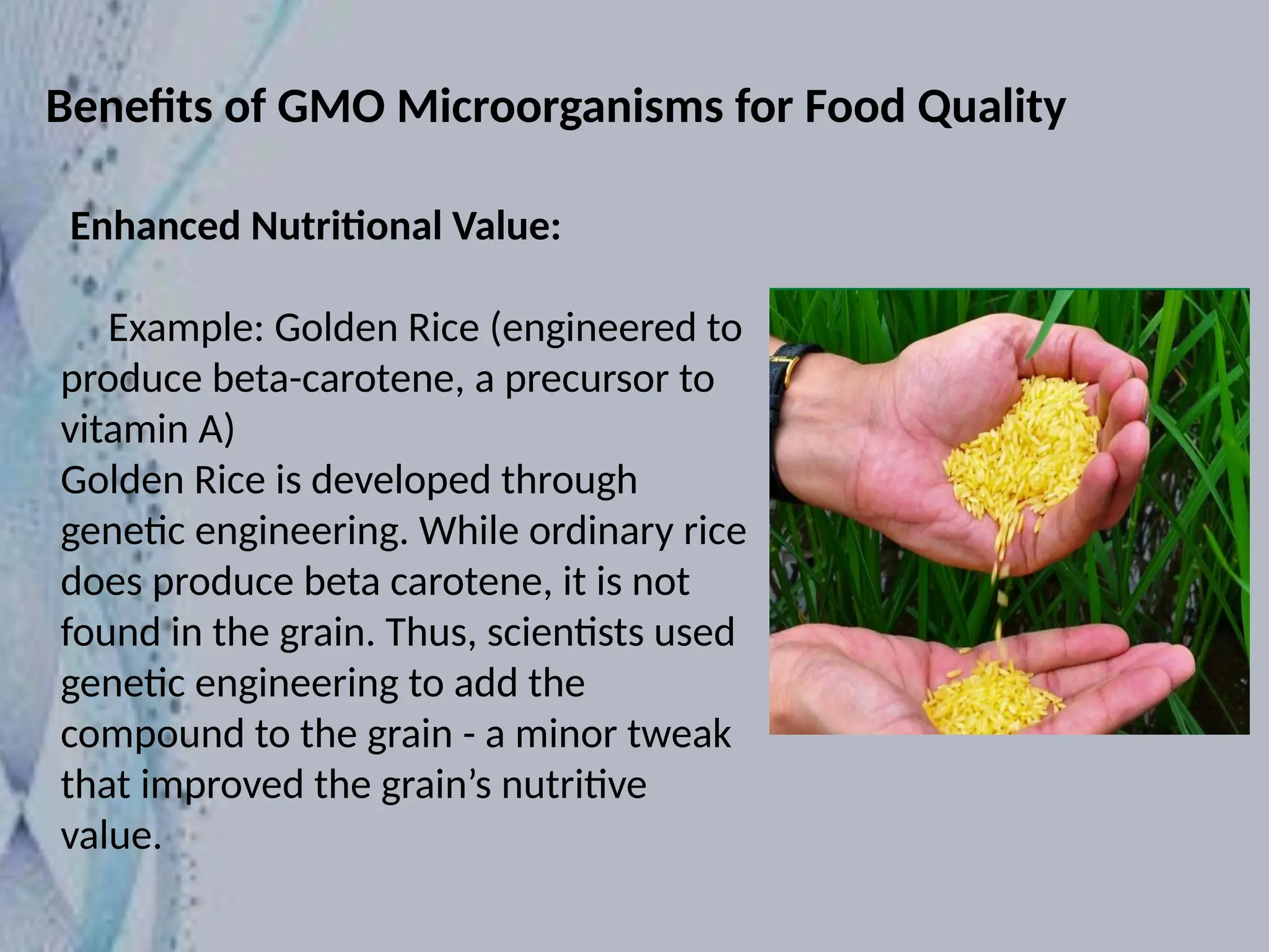 Impact of GMO on food quality and quantity.pptx