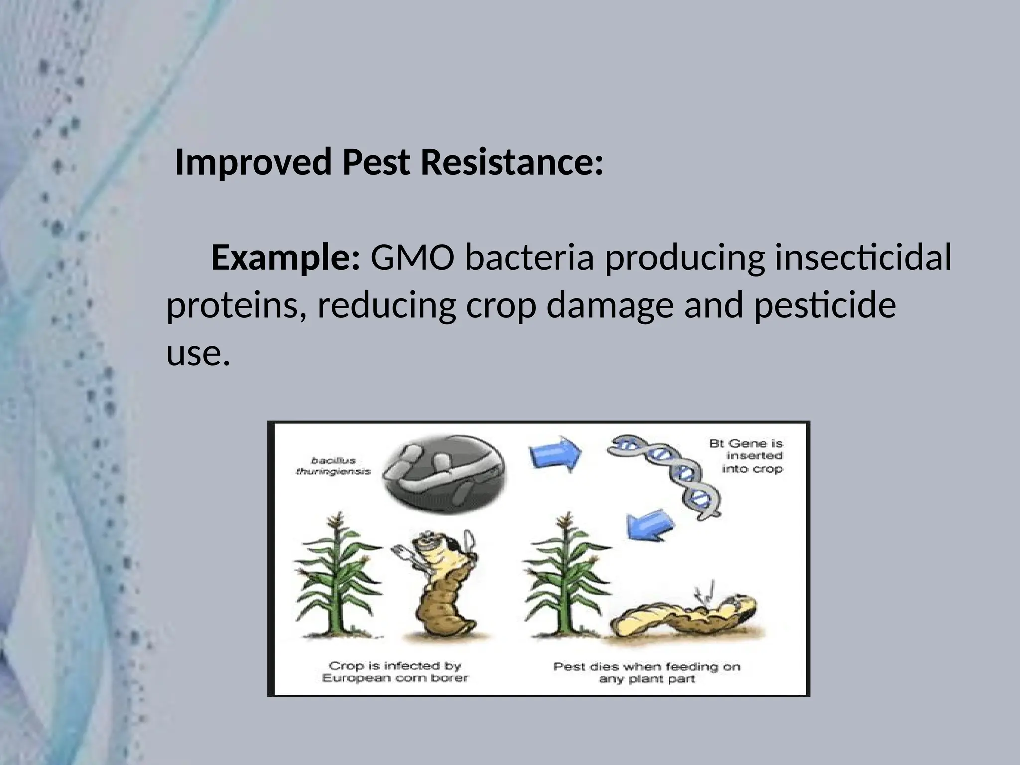 Impact of GMO on food quality and quantity.pptx