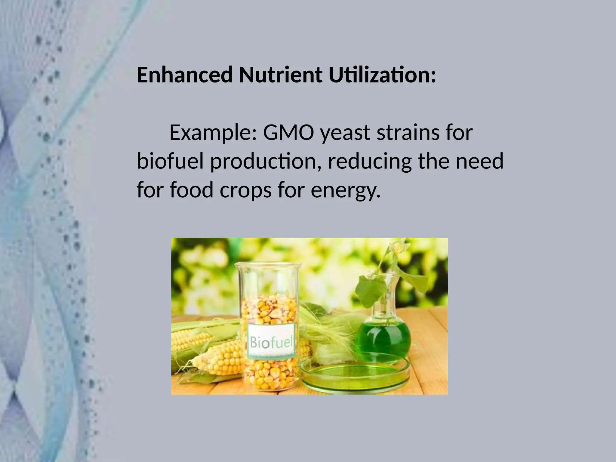 Impact of GMO on food quality and quantity.pptx