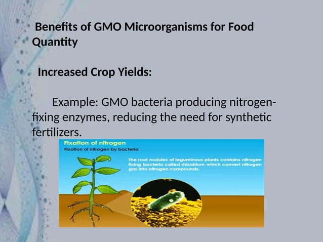 Impact of GMO on food quality and quantity.pptx | Agriculture | Industries