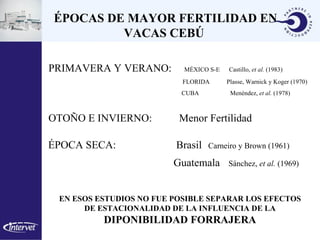Impacto productivo de la estacionalidad | PPT