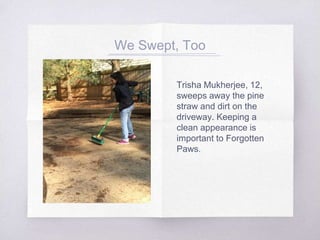 Charles Impactpresentation | PPT