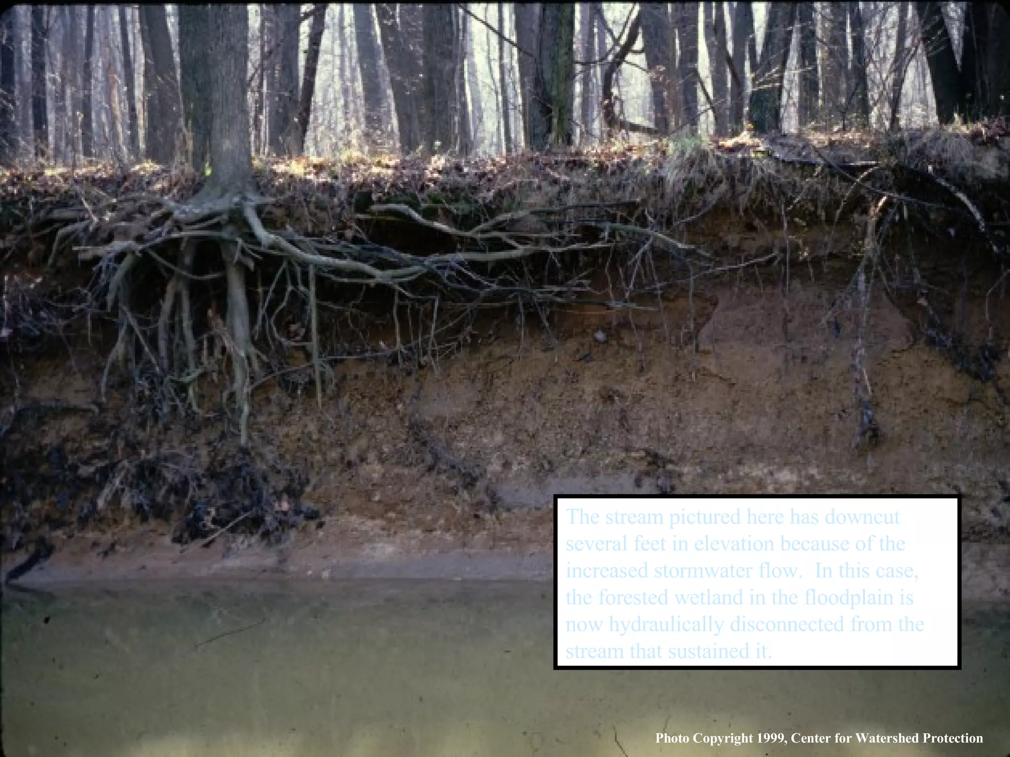 Impacts of Urbanization - Part 1 | PPT