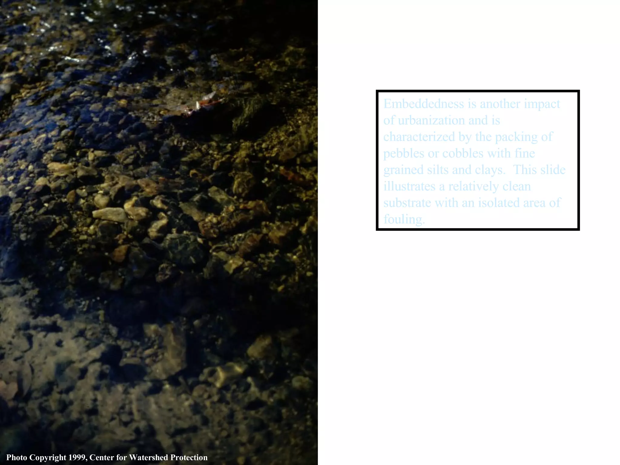 Impacts of Urbanization - Part 1 | PPT