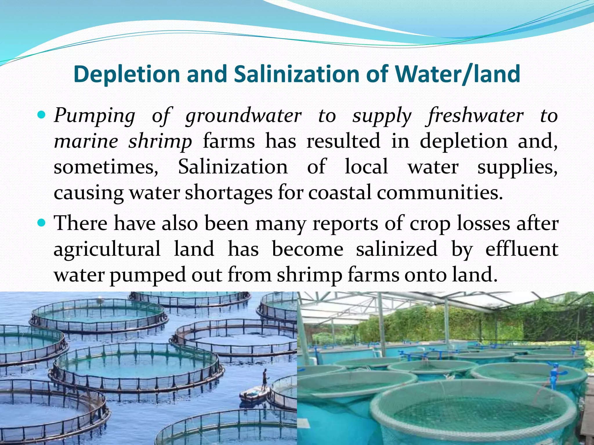 Impacts of agriculture, aquaculture on environment | PPTX