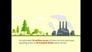 Impacts of a Paper-Based System | PPTX