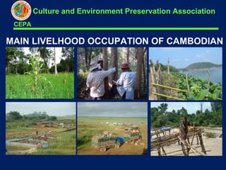 Impacts of Climate Change on Cambodia | PPT
