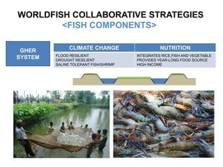 Impacts of climate smart integrated farming systems on women's ...