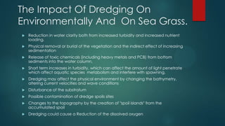 Impacts of dredging on Seagrass | PPTX