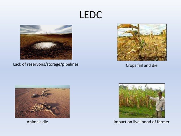 Impacts of drought | PPTX